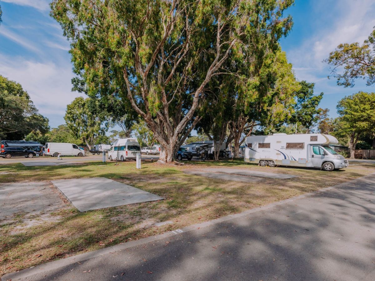 Jacobs Well | Gold Coast Tourist Parks