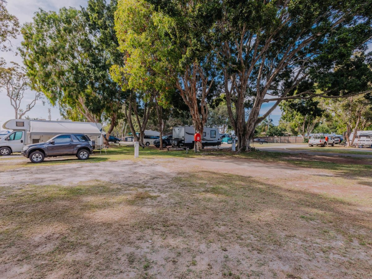 Jacobs Well | Gold Coast Tourist Parks