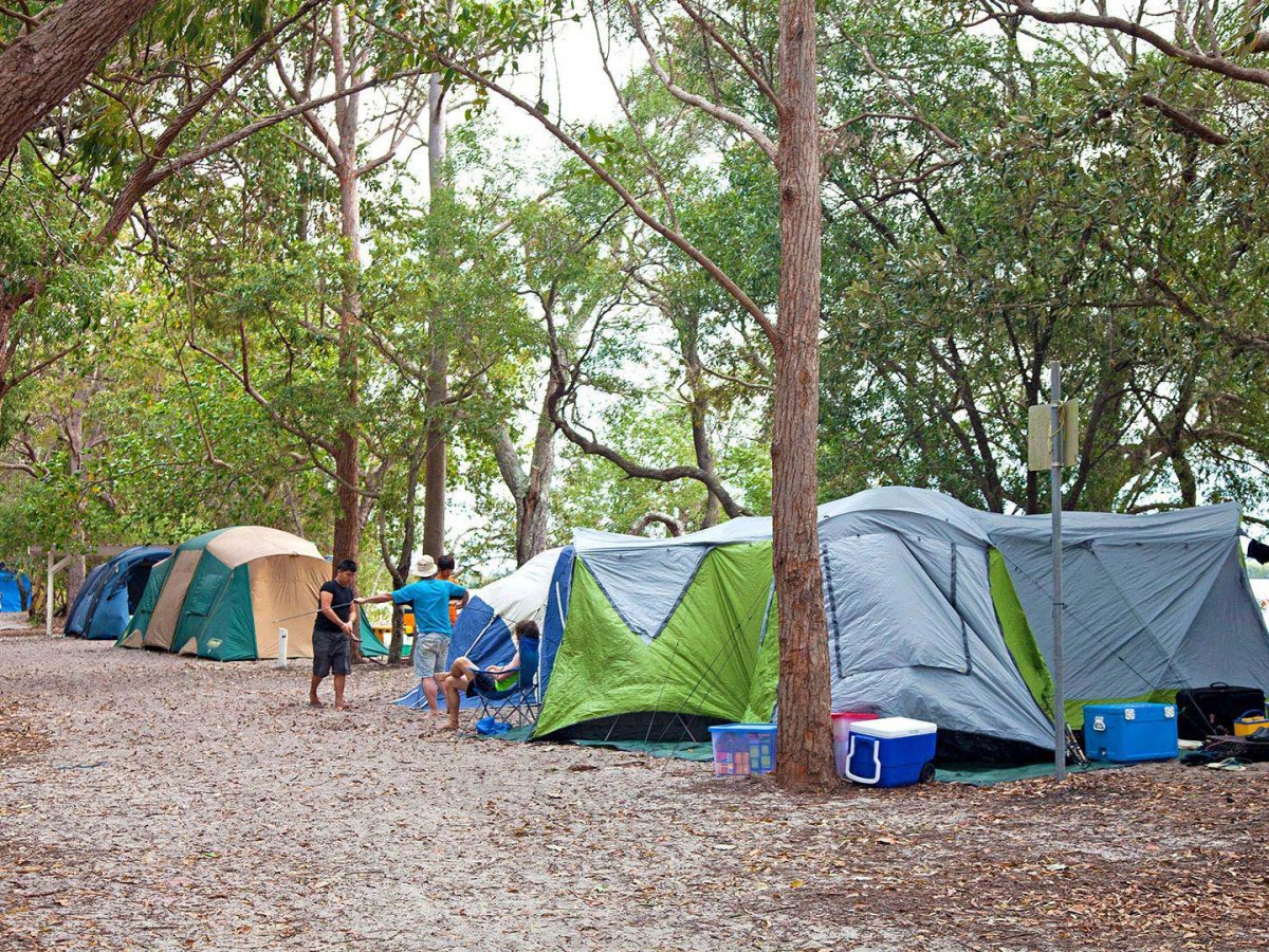 Tipplers Campground South Stradbroke Island | Gold Coast Tourist Parks