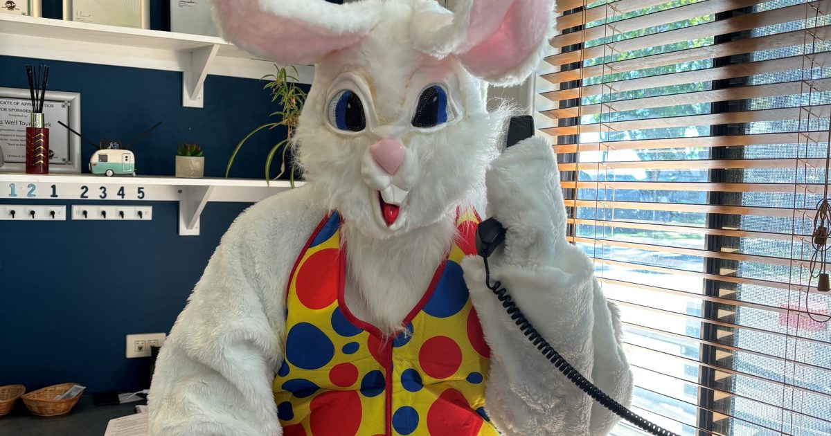 Gold Coast Tourist Parks | Post: Hop to Jacobs Well this Easter