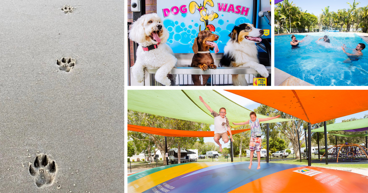 Gold Coast Tourist Parks | Post: Kirra Beach Tourist Park - Spring…